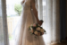 Wedding Gallery - Leann Davis Photography
